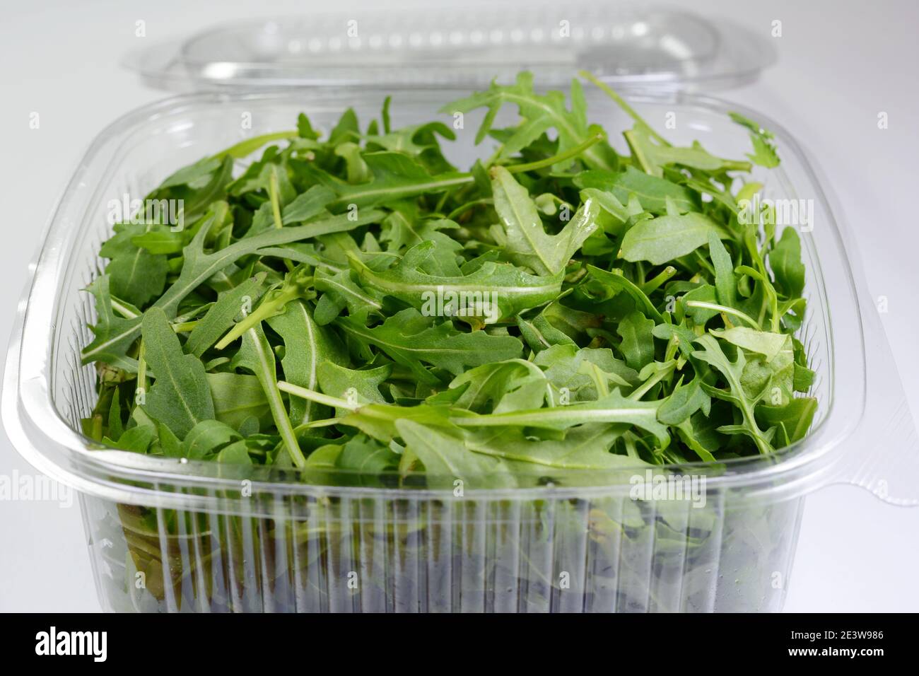 Eruca sativa rucola arugula fresh green rocket salad leaves in a ...