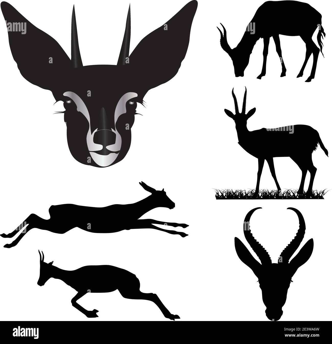Vector oryx Cut Out Stock Images & Pictures - Alamy