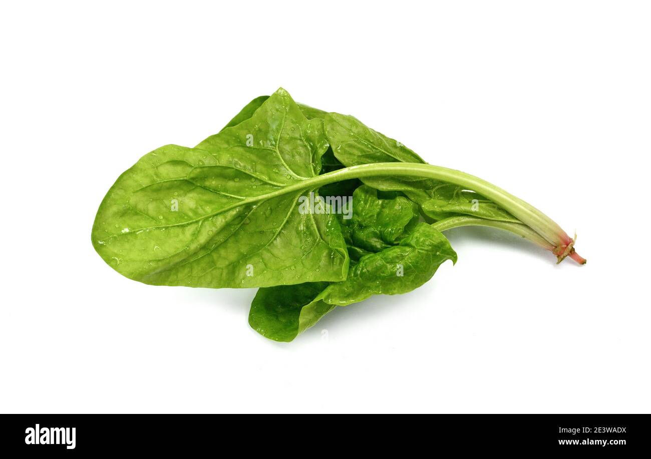 Fresh green spinach isolated on white background. Green spinach leaves ...
