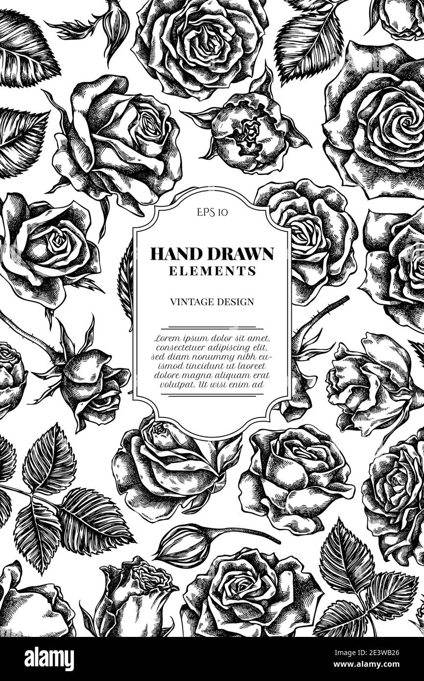 Postcard of roses Black and White Stock Photos & Images - Alamy