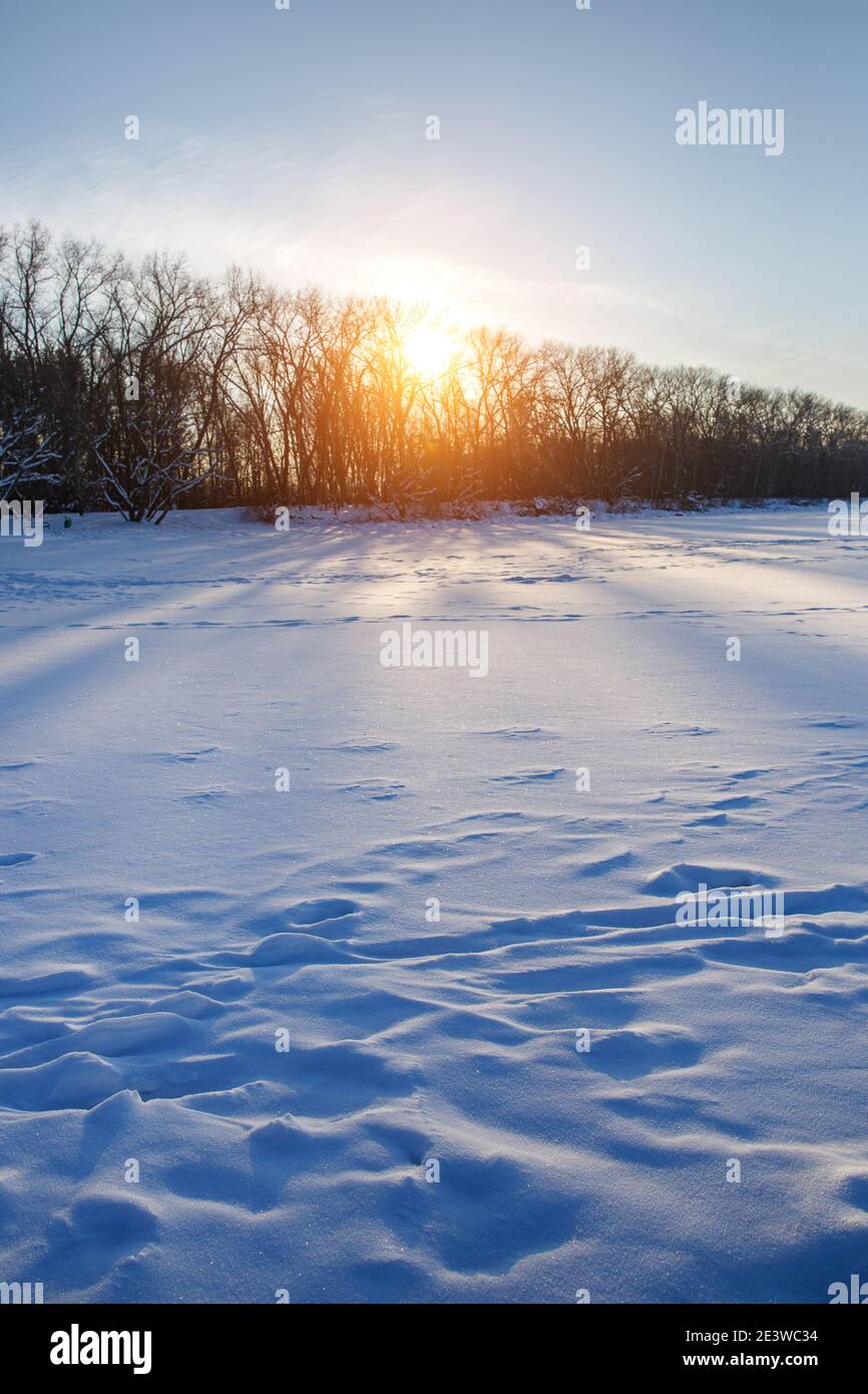 Snowy winter field at sunset background Stock Photo - Alamy