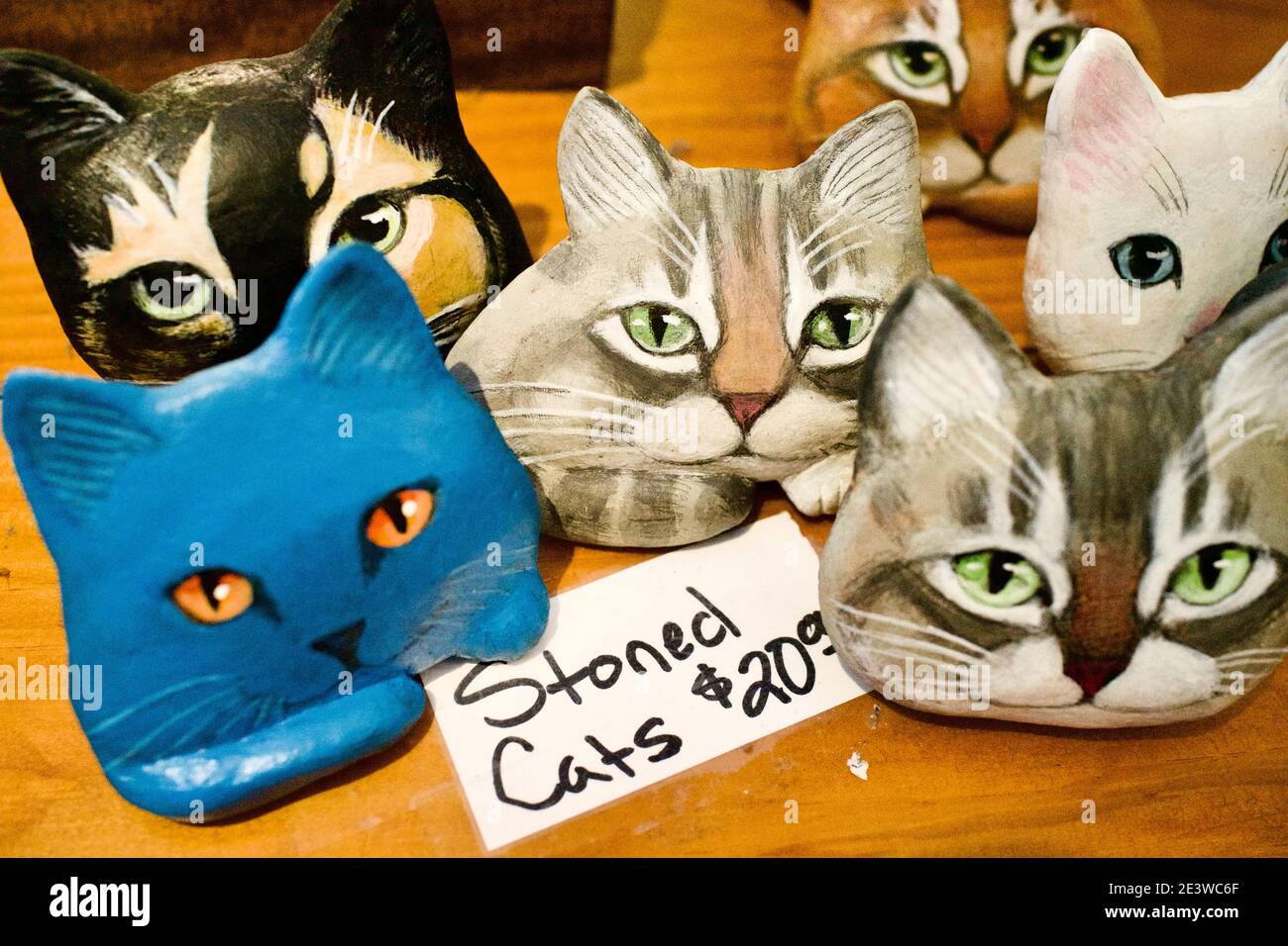 Stoned Cat With Glasses