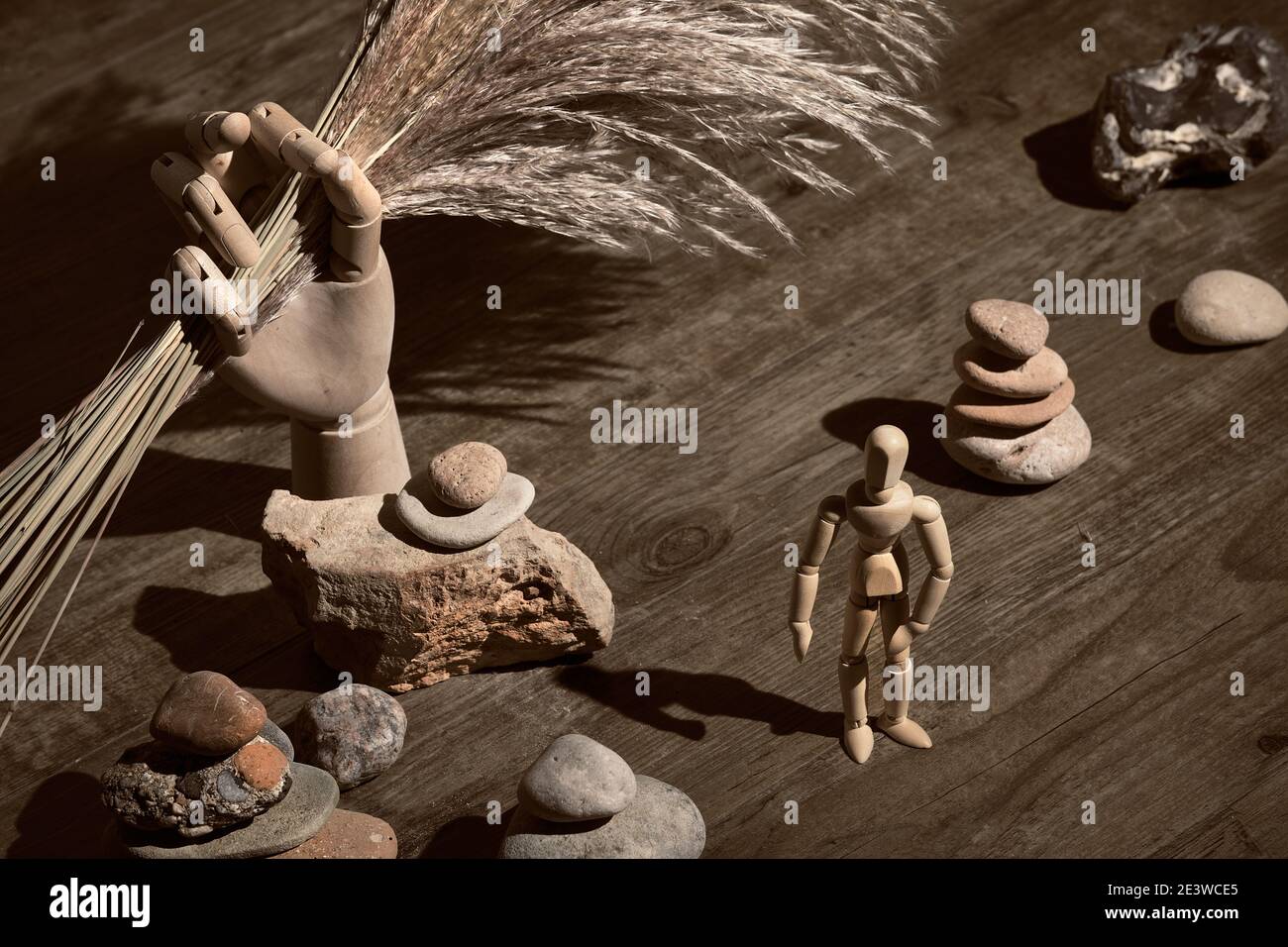 Wooden model hand holding dry withered pampas grass. Human figure with ...