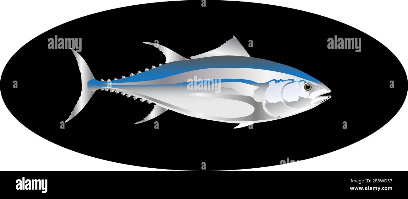 tuna fish color vector illustration isolated on black Stock Vector ...