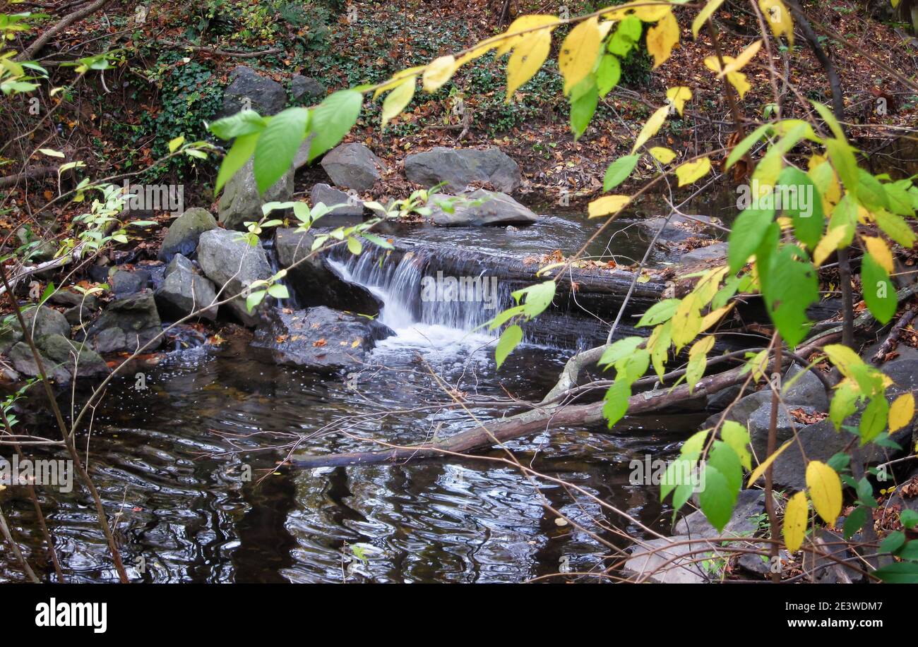 Water cascades over a small waterfall Stock Photo - Alamy