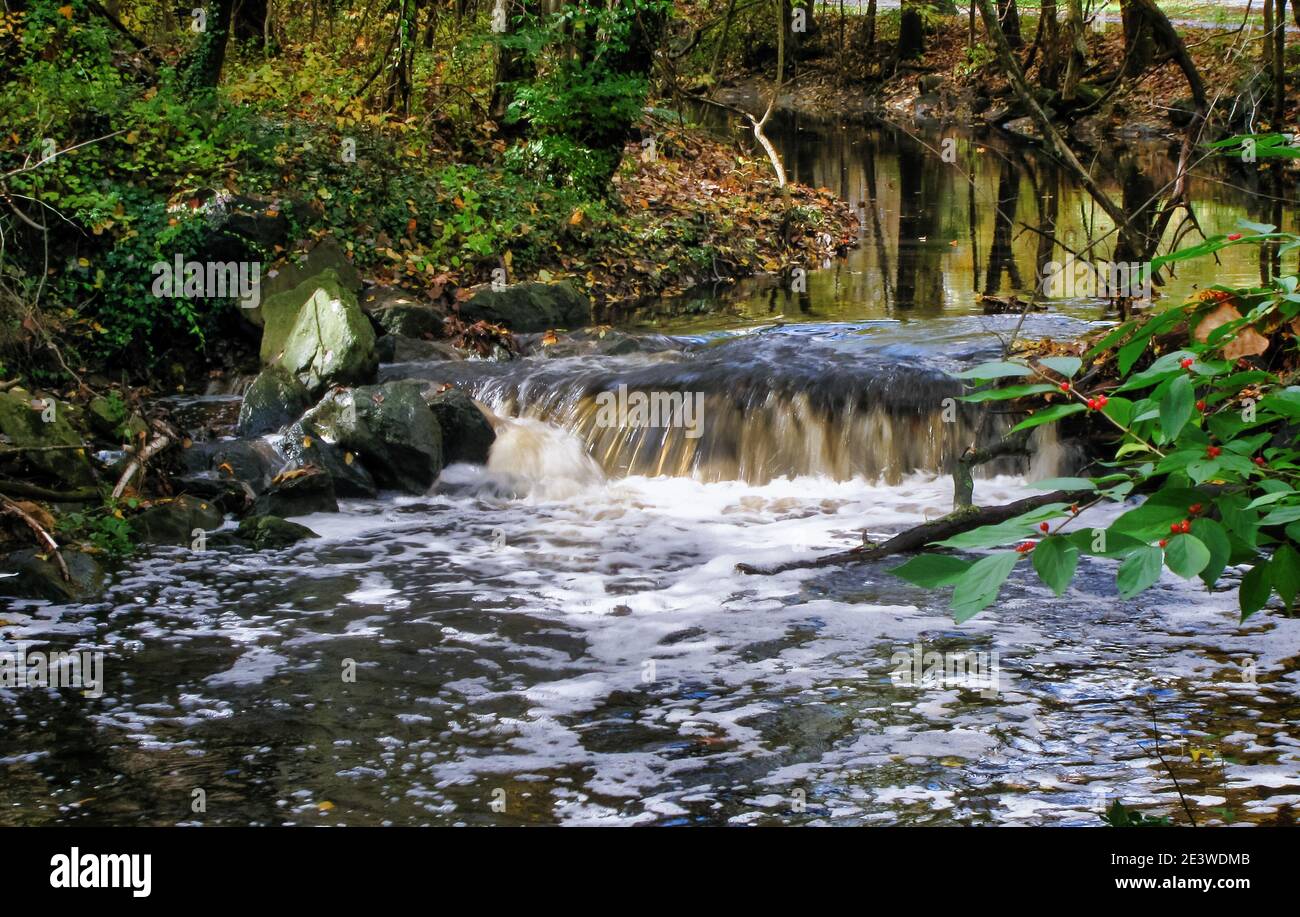 Water cascades over a small waterfall Stock Photo - Alamy