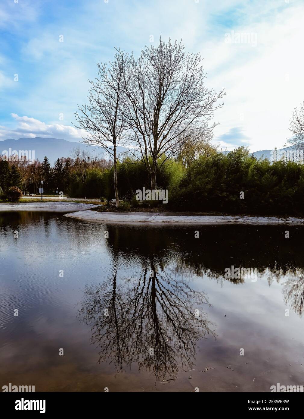 Small and cute pond and dried tree reflection on it. Autumn colors with ...