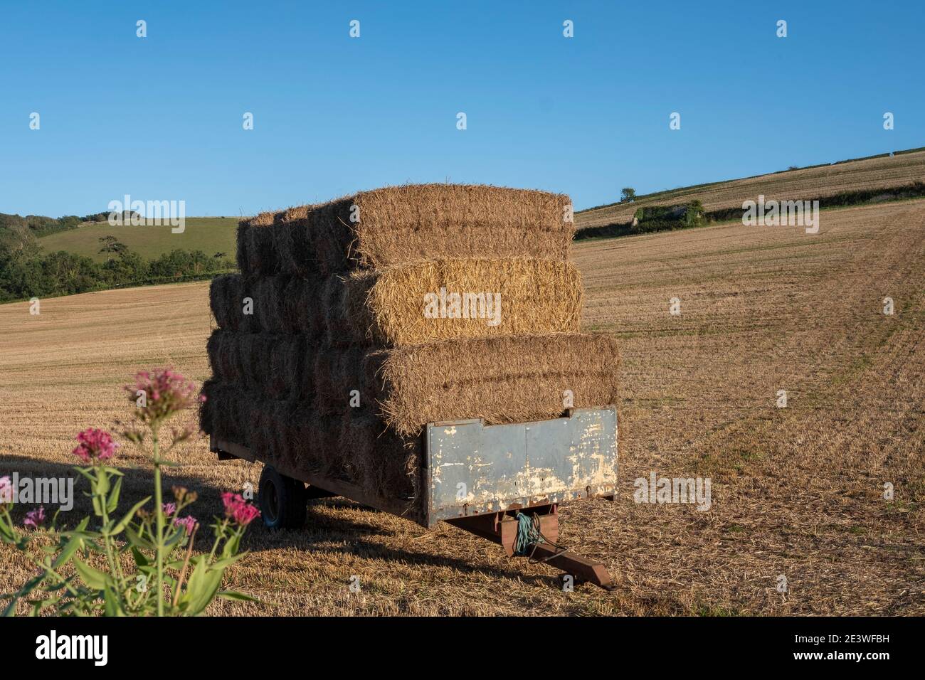 Devon harvest hi-res stock photography and images - Alamy