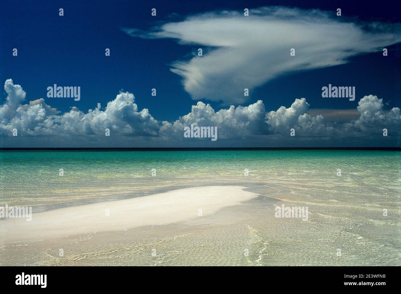 Cayo coco flamingo hi-res stock photography and images - Alamy