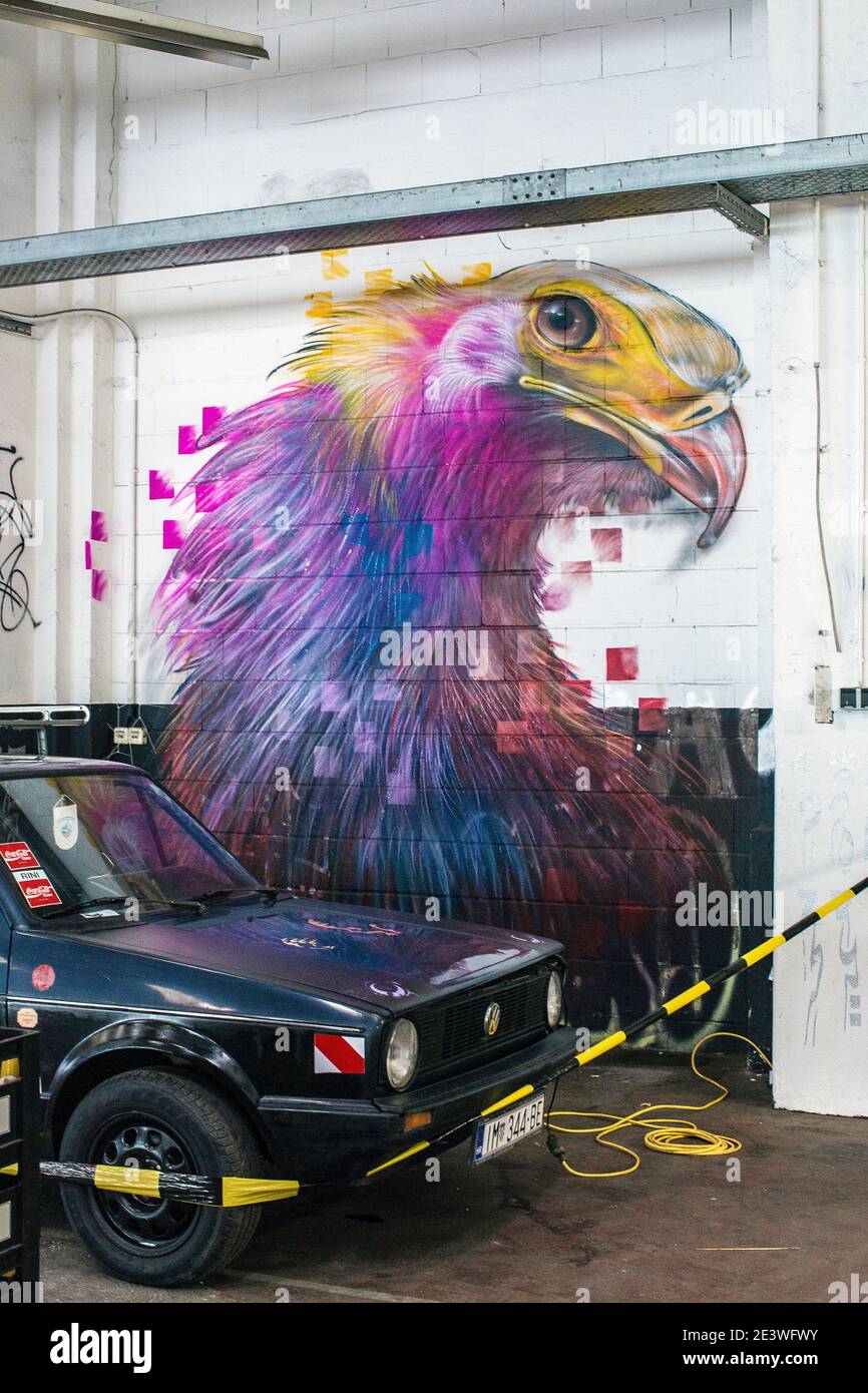 Colorfull exotic bird muralwith Volkswagen car Stock Photo - Alamy