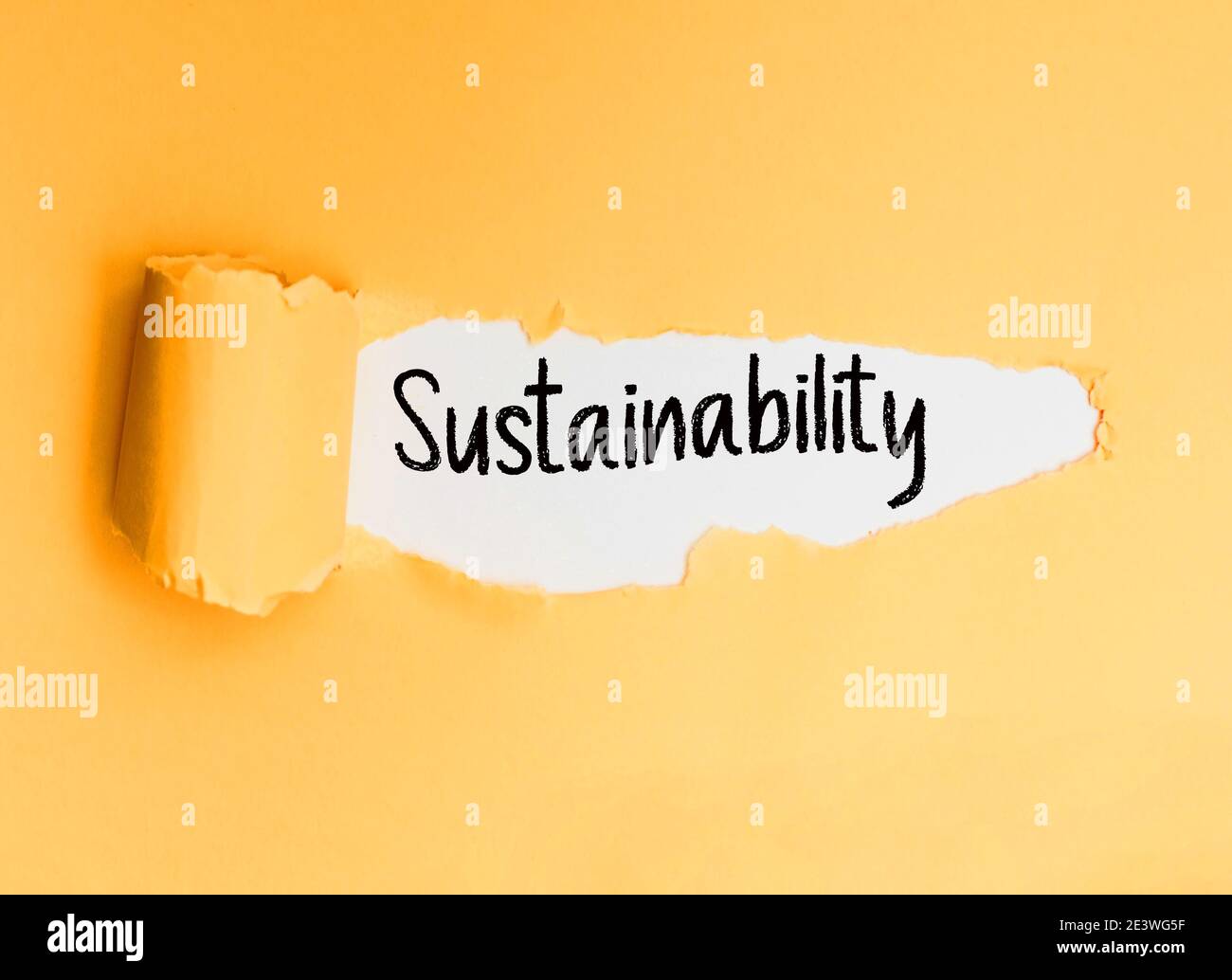 Sustainability word in English, written on a torn paper Stock Photo - Alamy