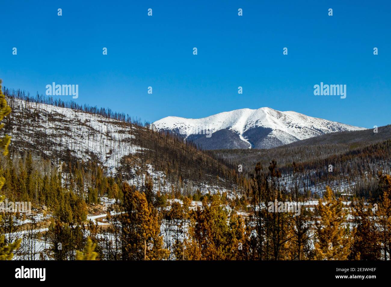 Snowfall on the East troublesome fire Stock Photo - Alamy