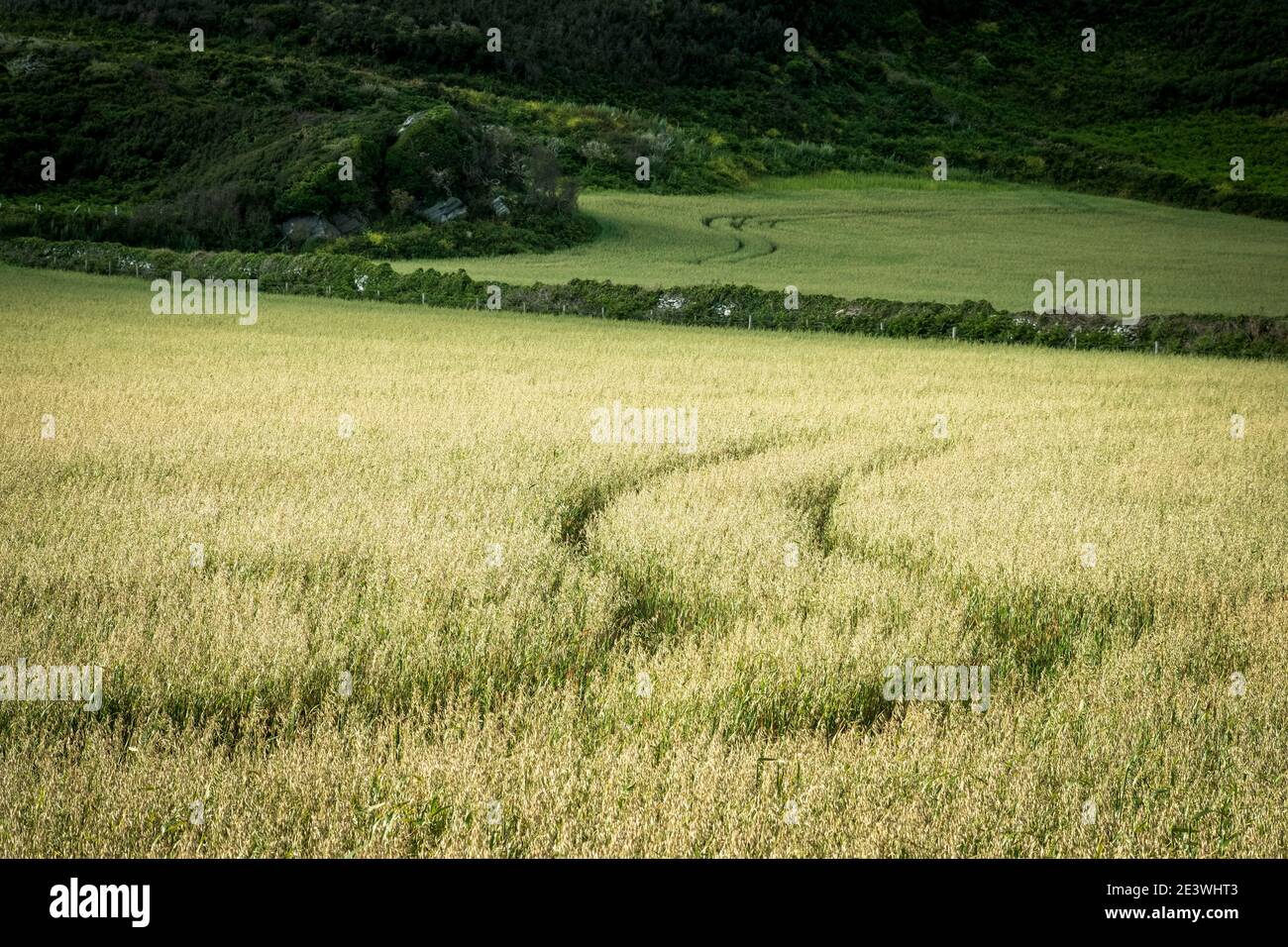 Devon farm tractor hi-res stock photography and images - Alamy
