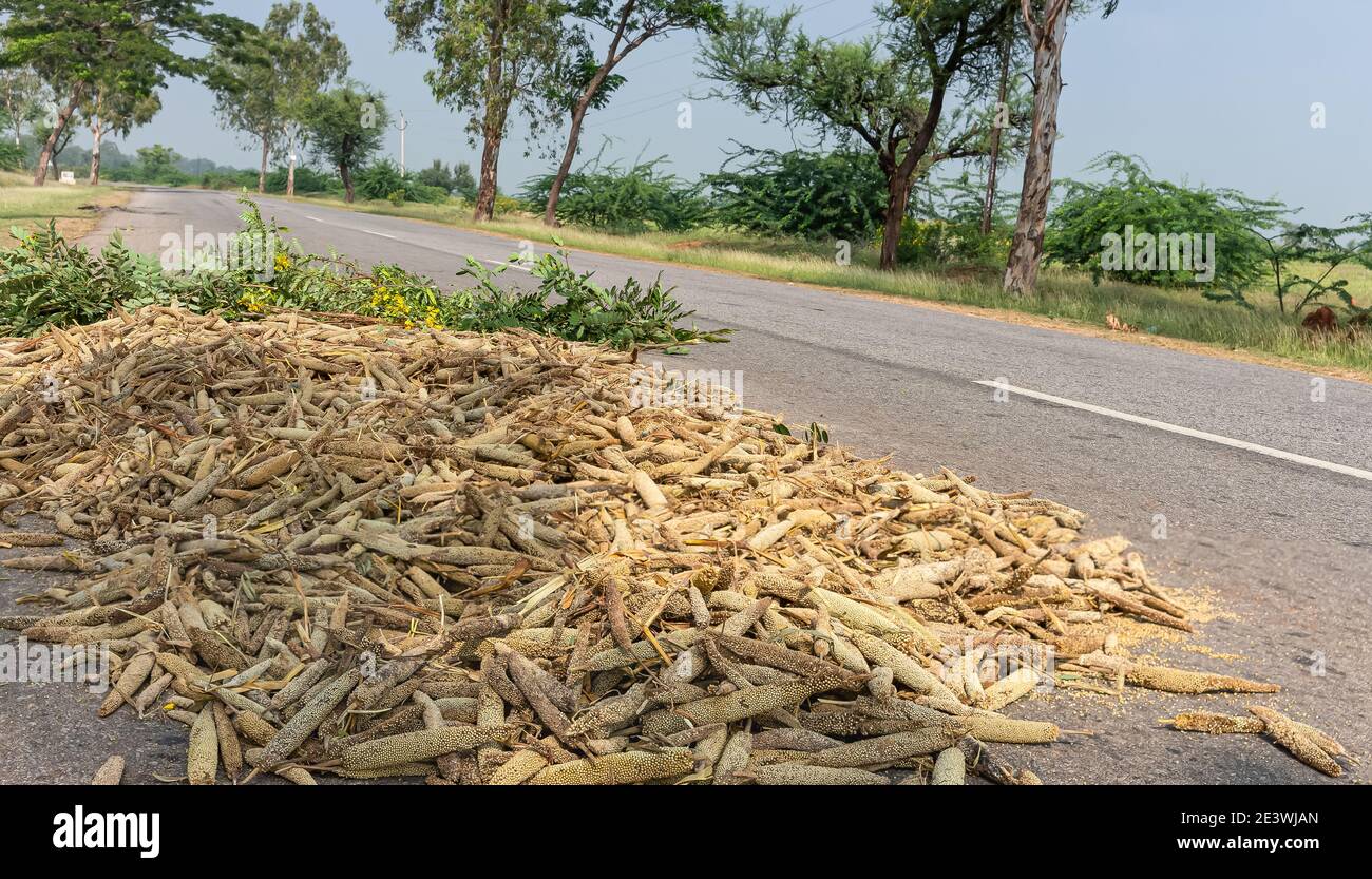 Threshed hi-res stock photography and images - Alamy