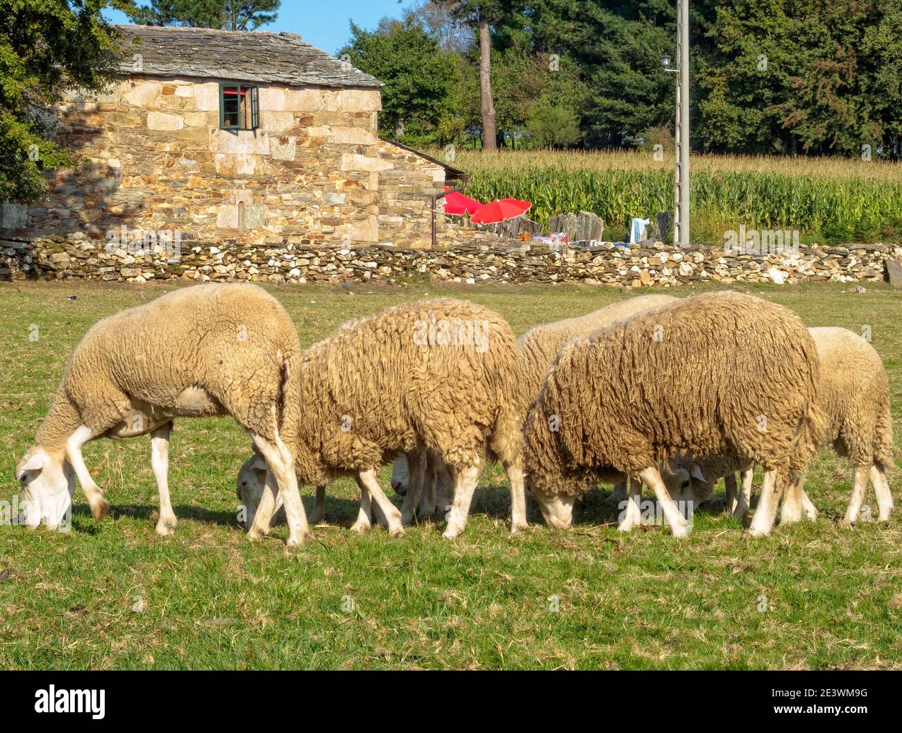 Ventas de naron hi-res stock photography and images - Alamy