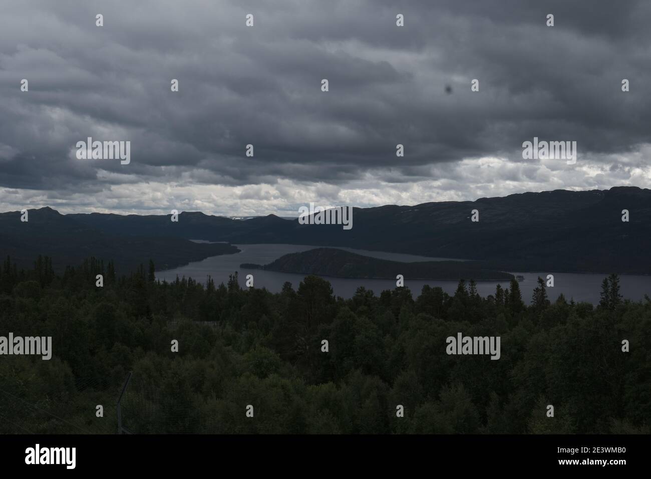 Nightfall forest hi-res stock photography and images - Alamy