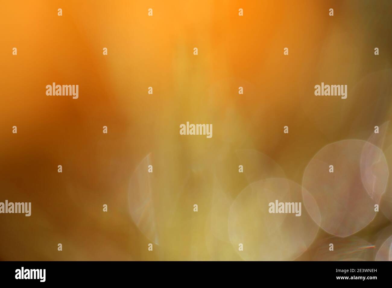 Natural background with autumn colors in the morning Stock Photo - Alamy