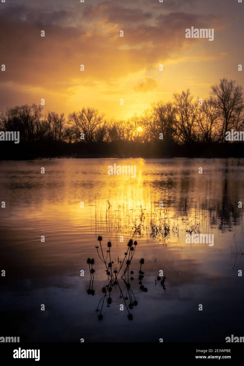 flooded gipping 1 Stock Photo - Alamy