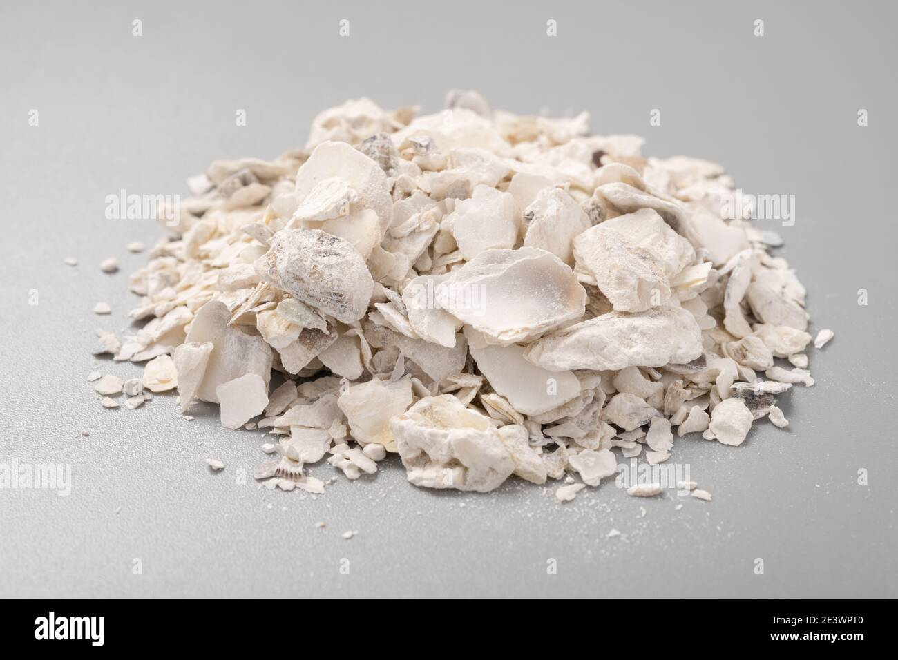 Common oyster shell hi-res stock photography and images - Alamy