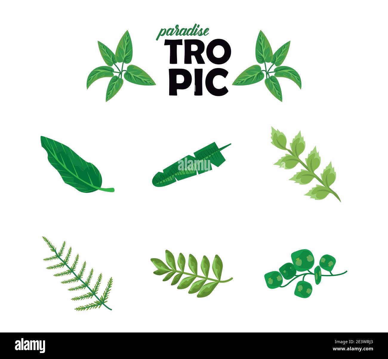 bundle of eight leaves plants green nature icons and tropic lettering ...