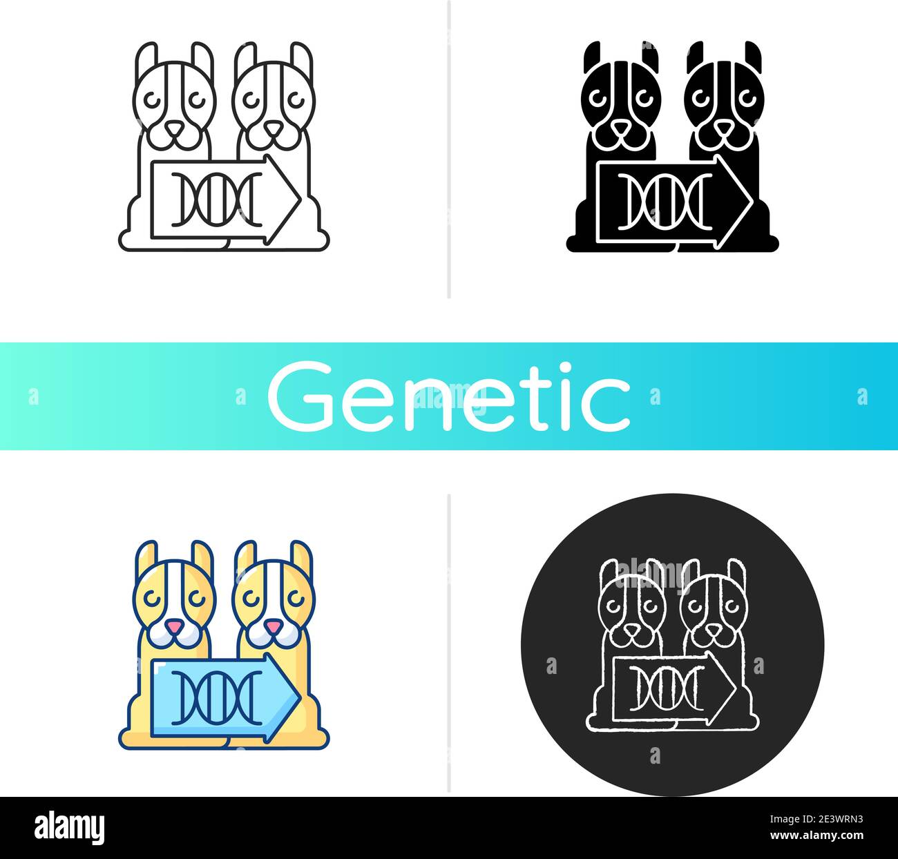 Duplicate cloning science Stock Vector Images - Alamy