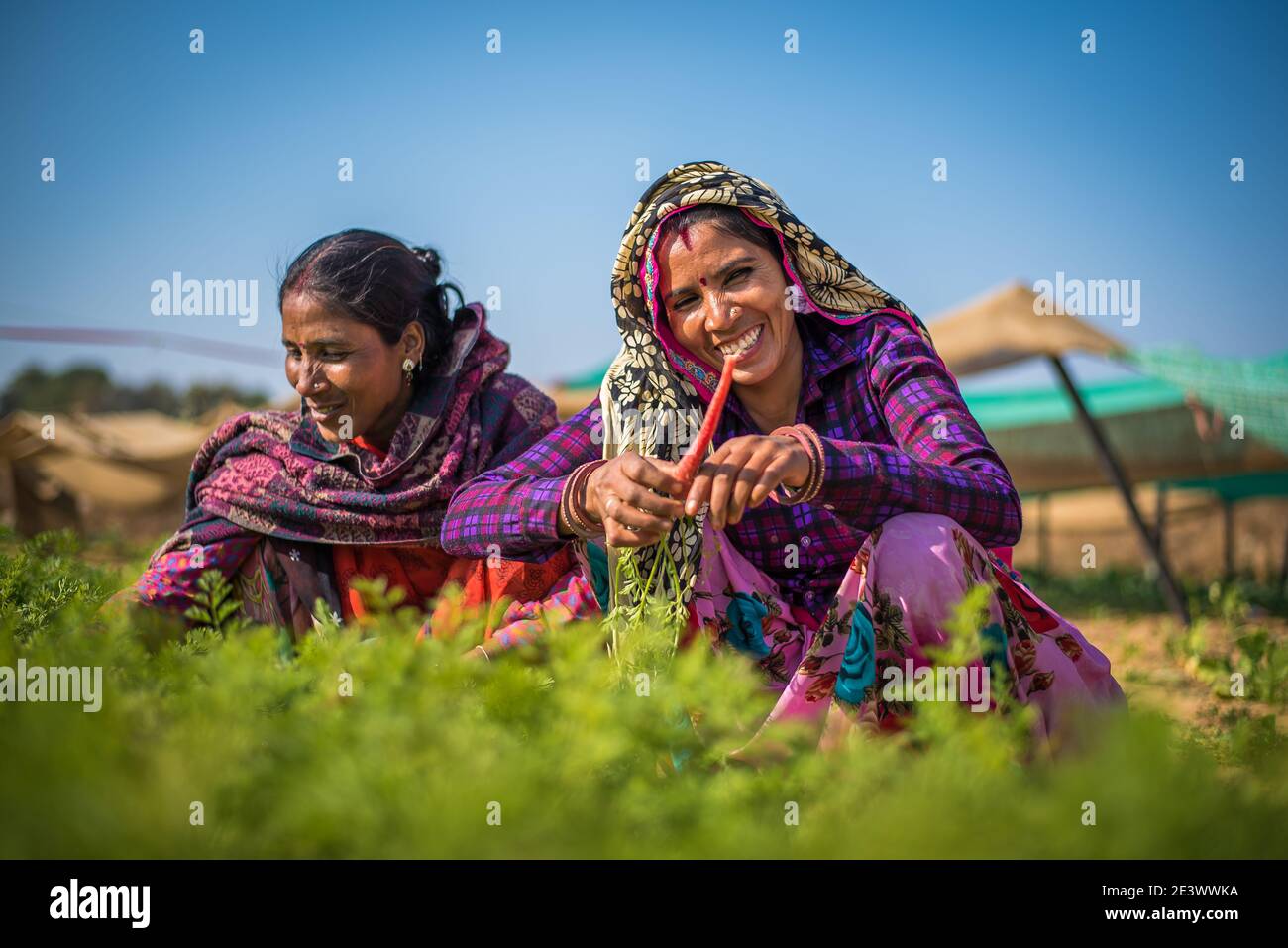 India slum cooking hi-res stock photography and images - Alamy