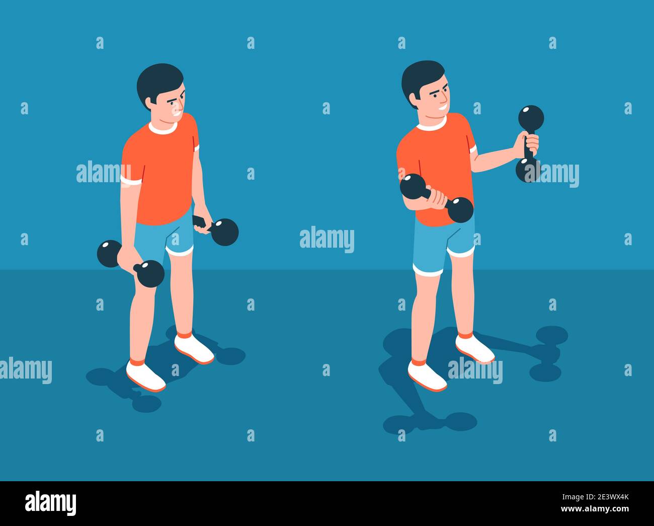 Biceps exercise with dumbbells. Workout training Stock Vector Image ...