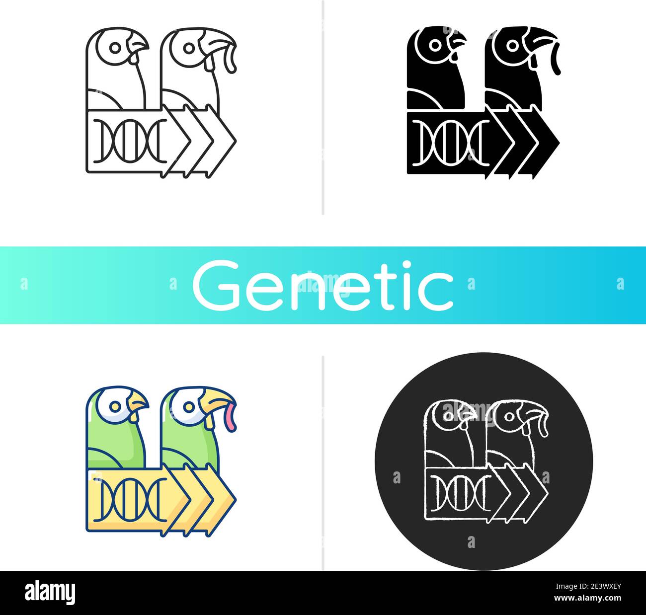 Evolutionary genetics icon Stock Vector Image & Art - Alamy