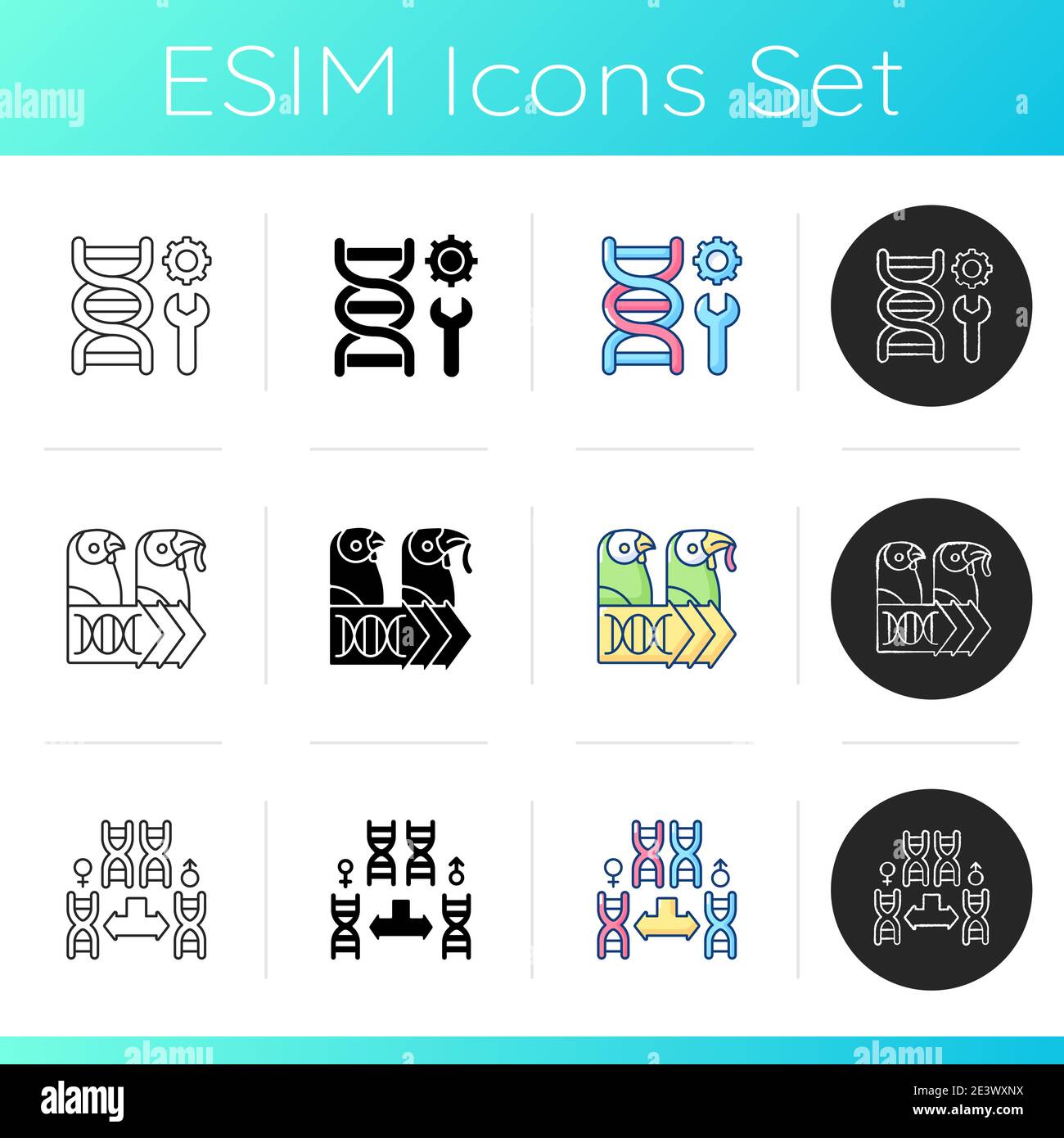 Human population genetics hi-res stock photography and images - Alamy