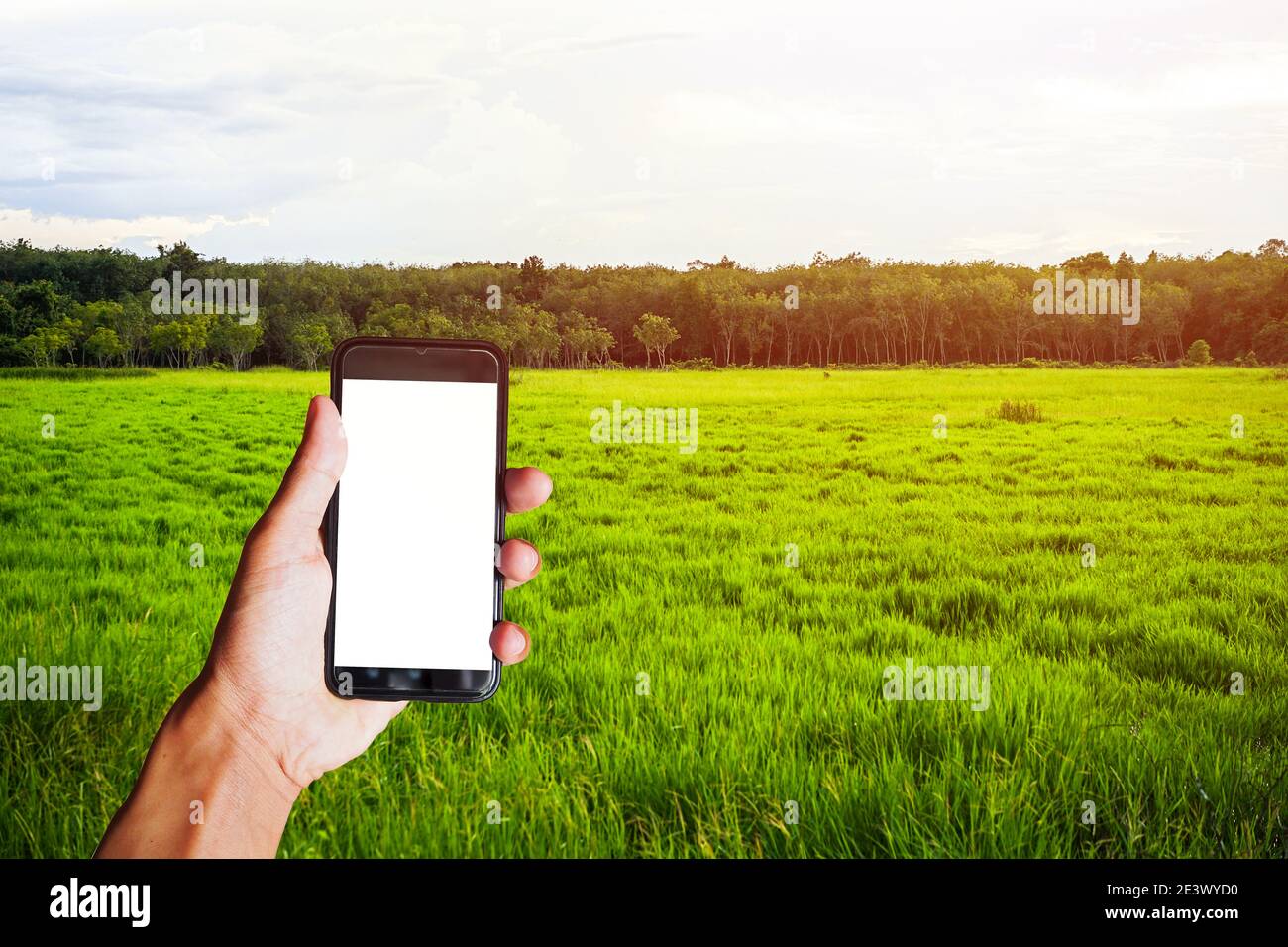 Business man behind screen hi-res stock photography and images - Alamy