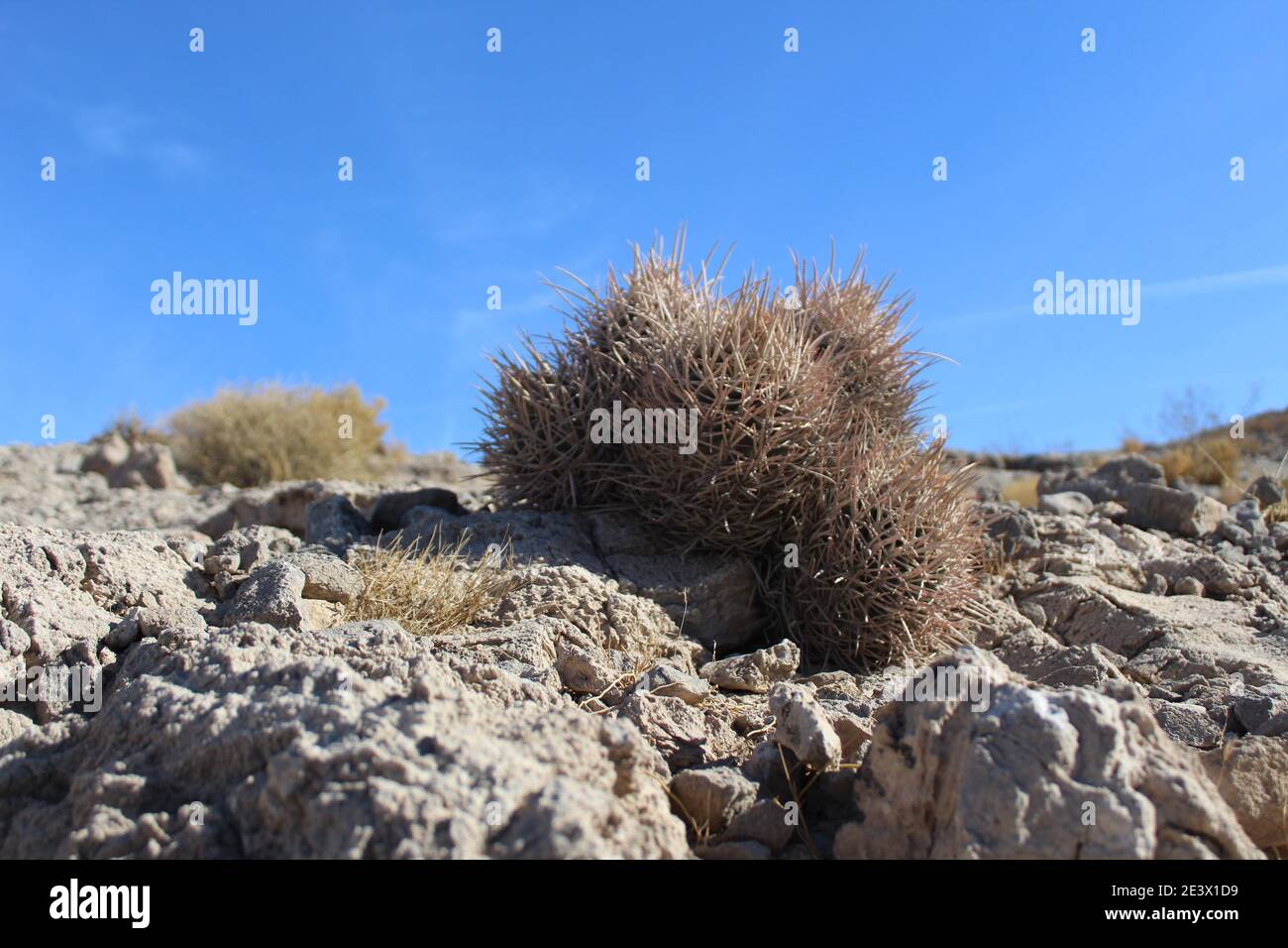 Desert picture hi-res stock photography and images - Alamy