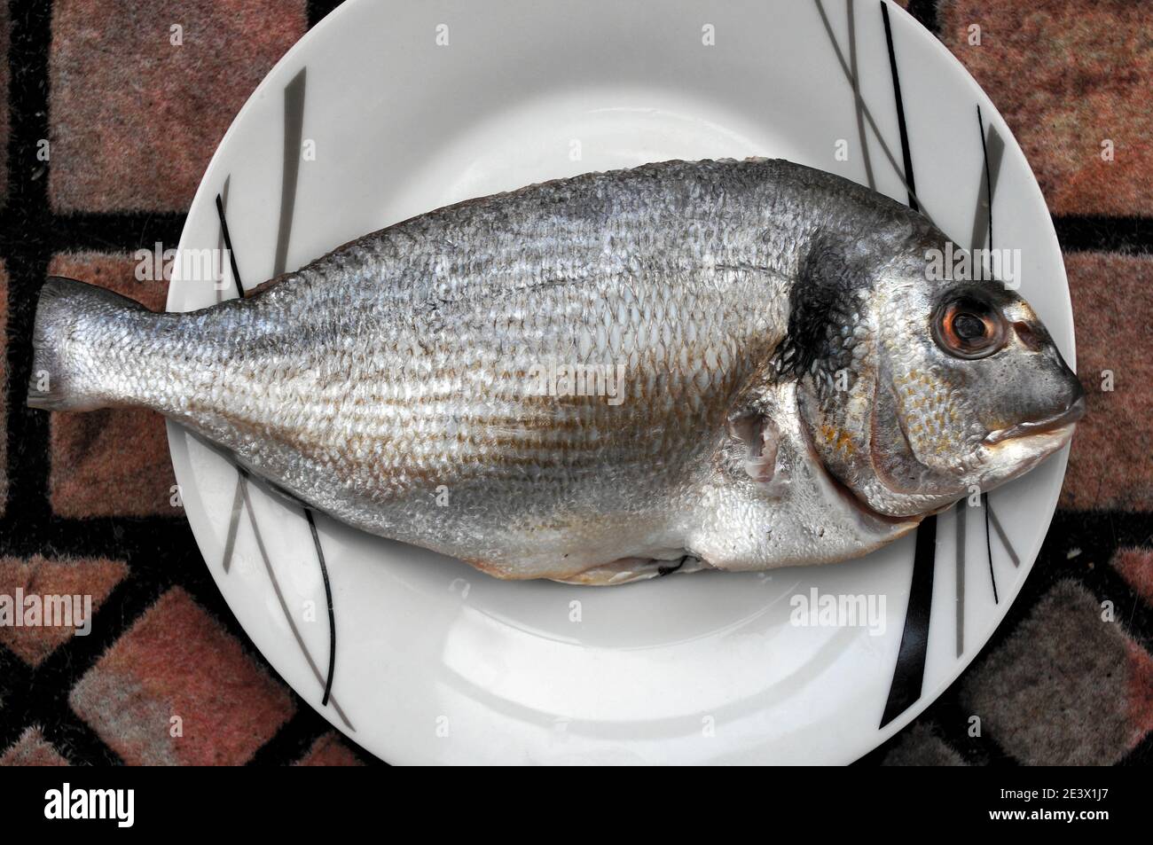 Silver fish scales hi-res stock photography and images - Alamy