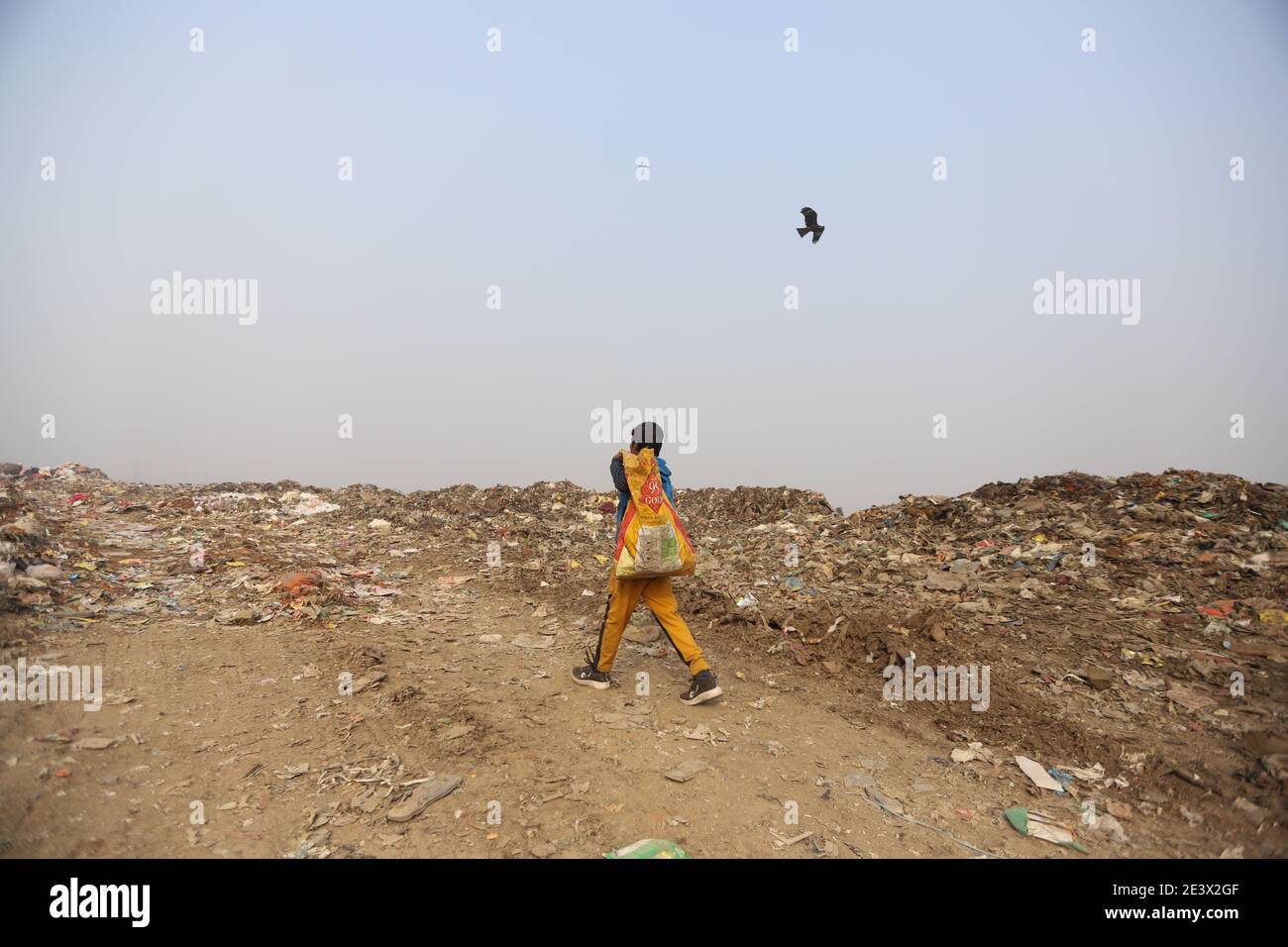 India waste picker hi-res stock photography and images - Alamy