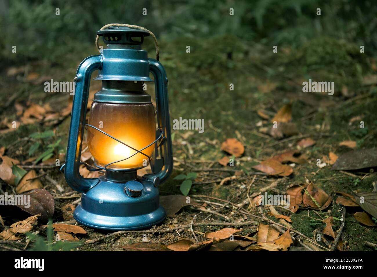 Antique oil lamp inside the forest Stock Photo - Alamy