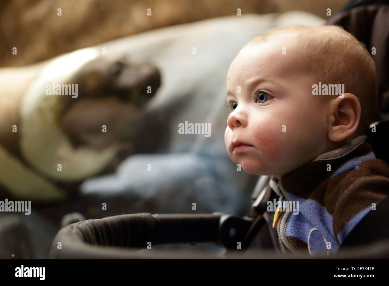 Thinking baby sitting on a stroller in the museum Stock Photo - Alamy