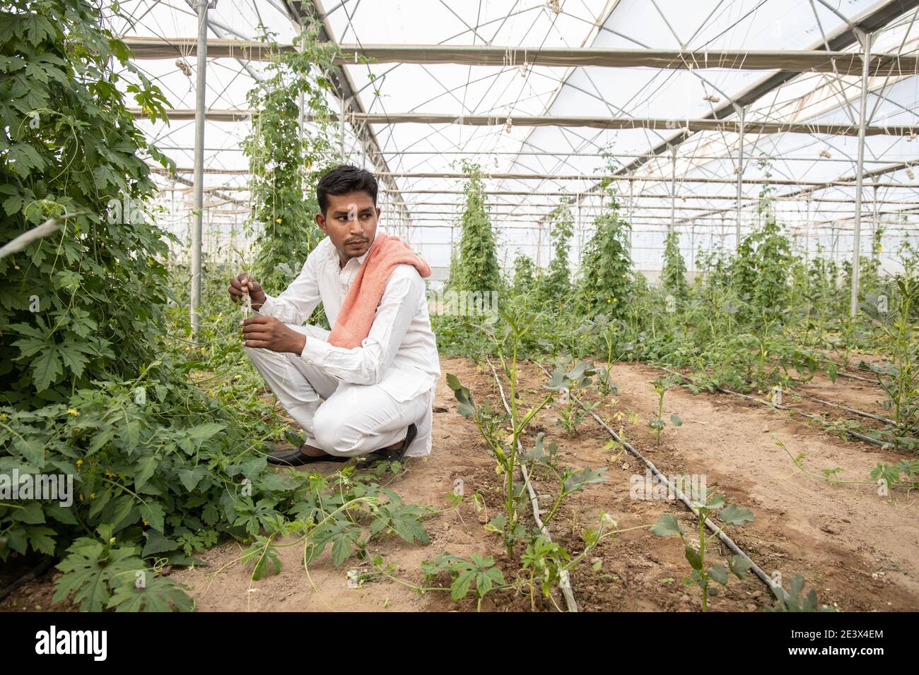 Modern Indian Farmers