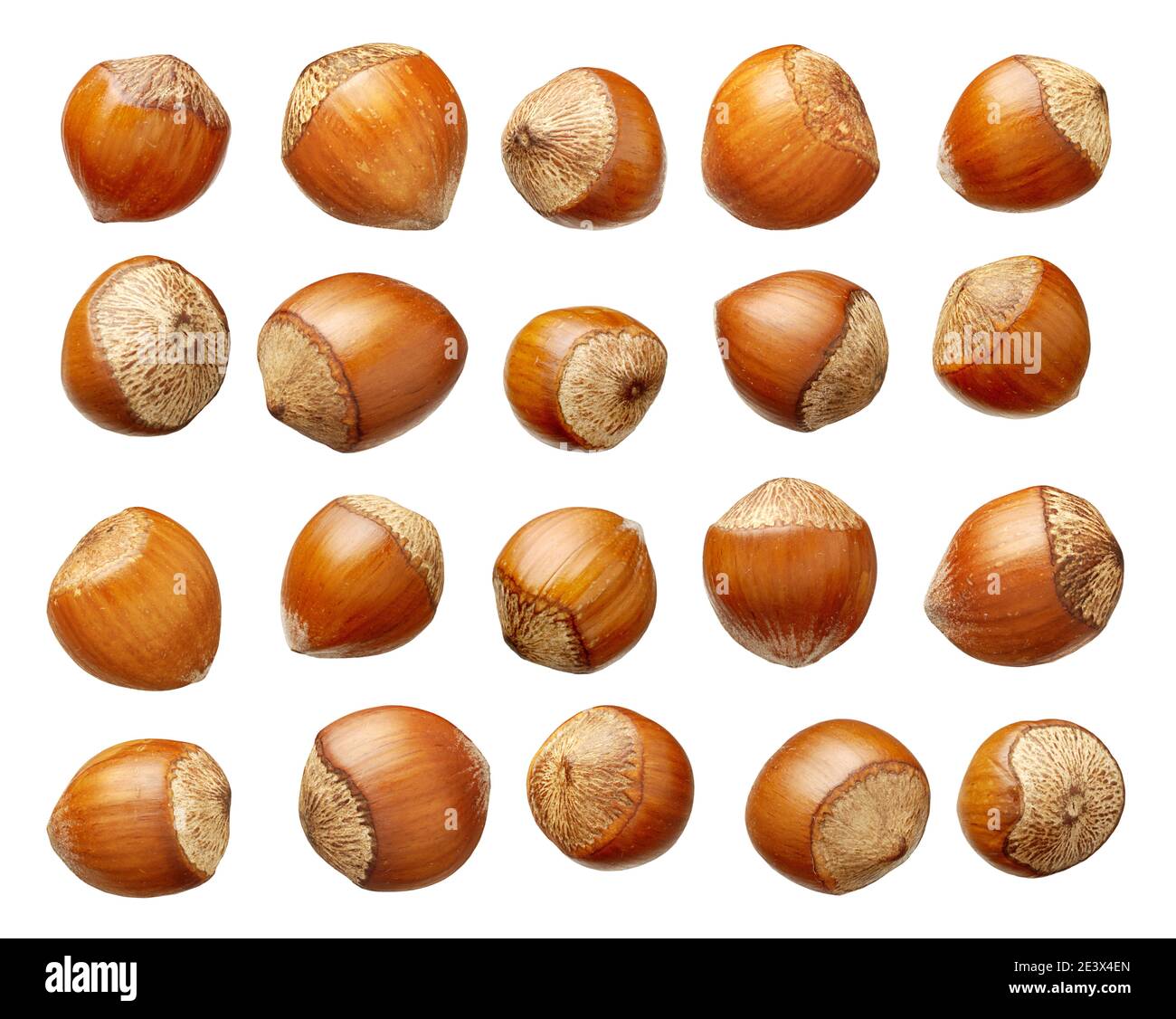 Set of hazelnuts isolated on white background Stock Photo - Alamy