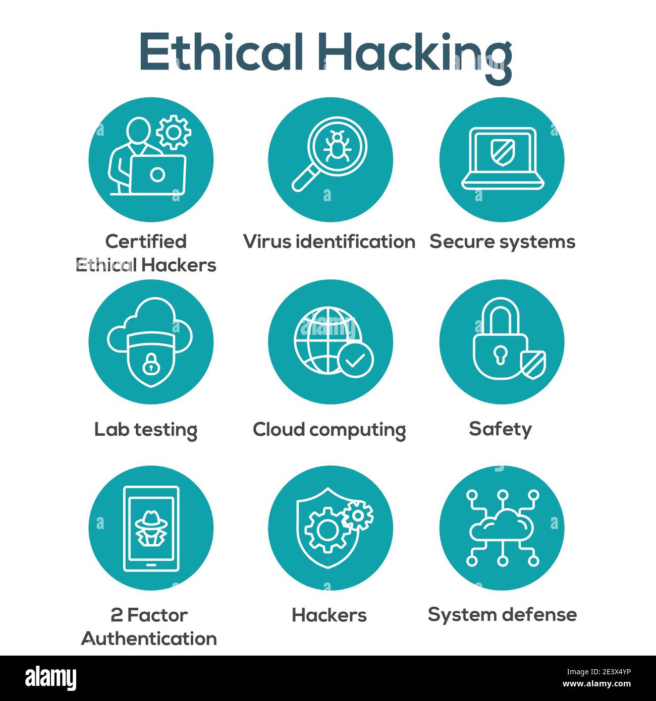 Certified Ethical Hacking - CEH icon set showing virus, exposing ...