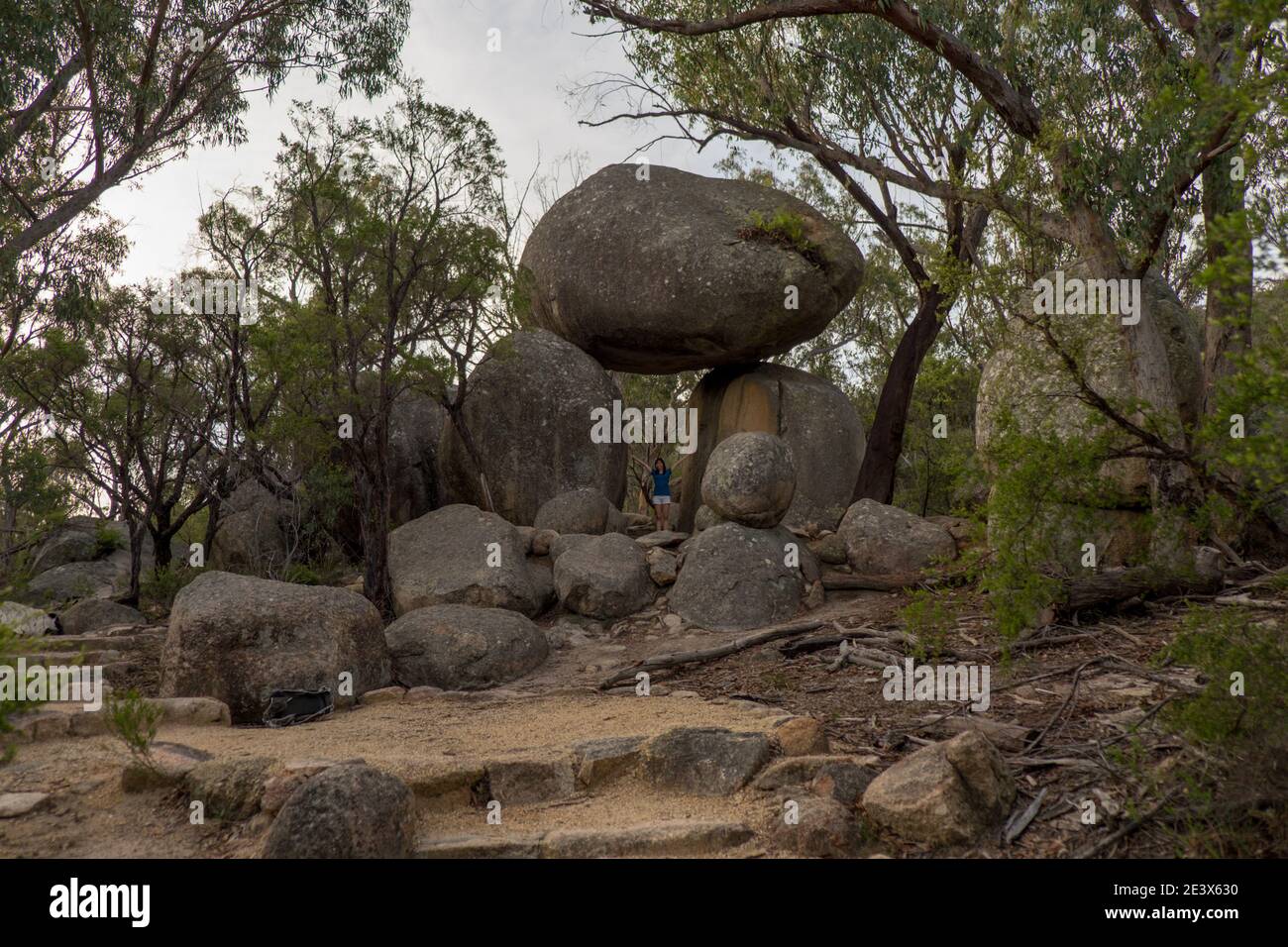 Girraween National Park Stock Photo - Alamy