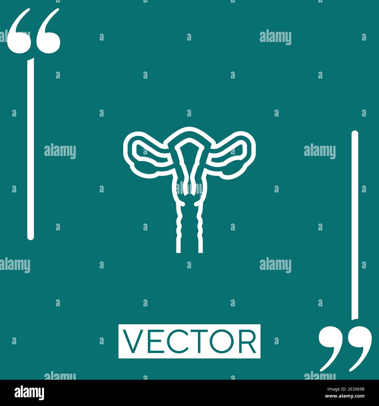 uterus vector icon Linear icon. Editable stroke line Stock Vector Image ...