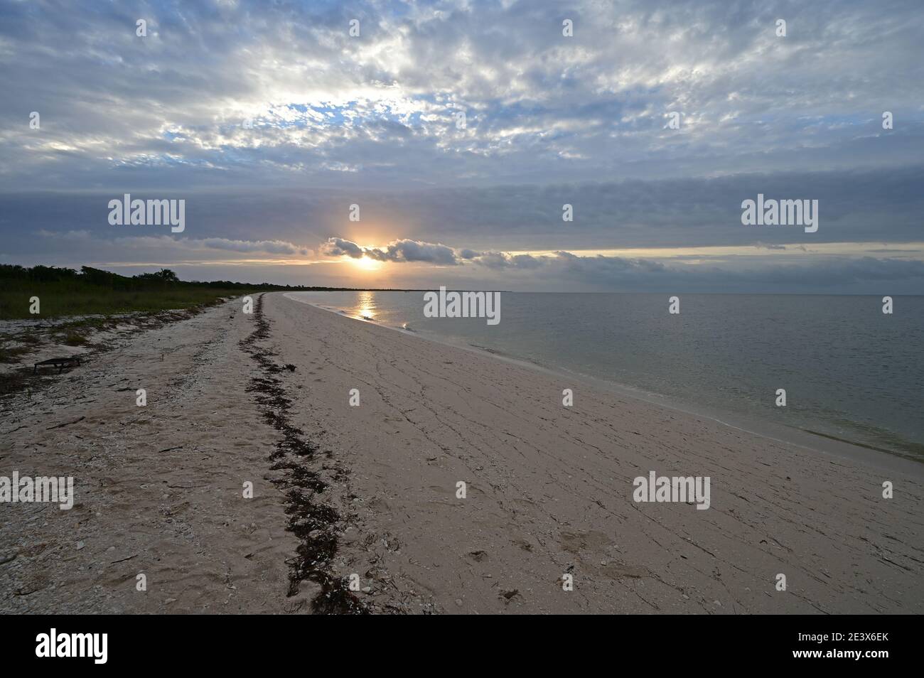 Beach at Middle Cape Sable in Everglades National Park, Florida at ...