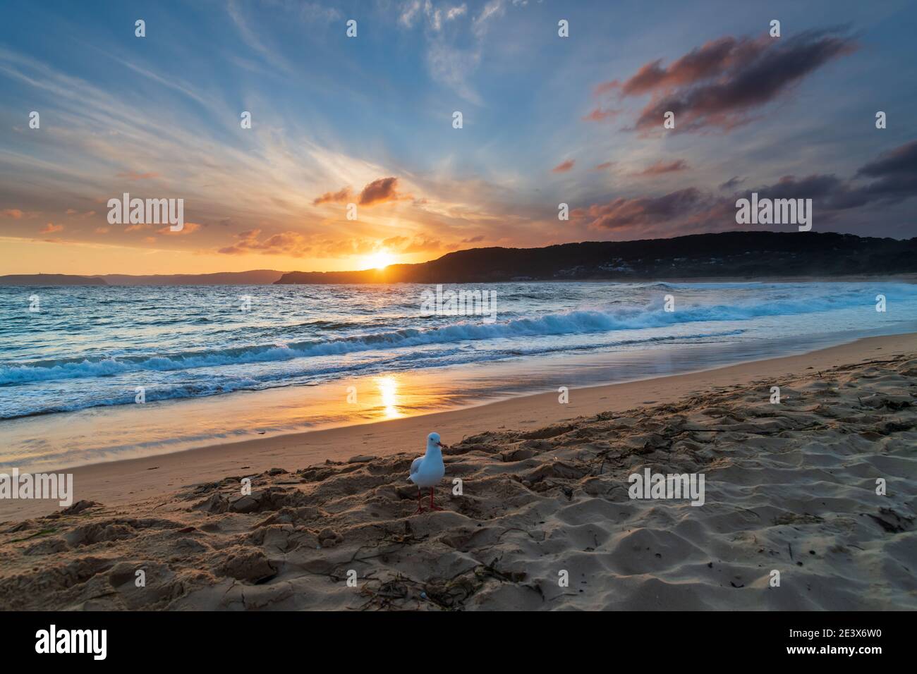 Sunset by the sea at Putty Beach in the Bouddi National Park on the ...