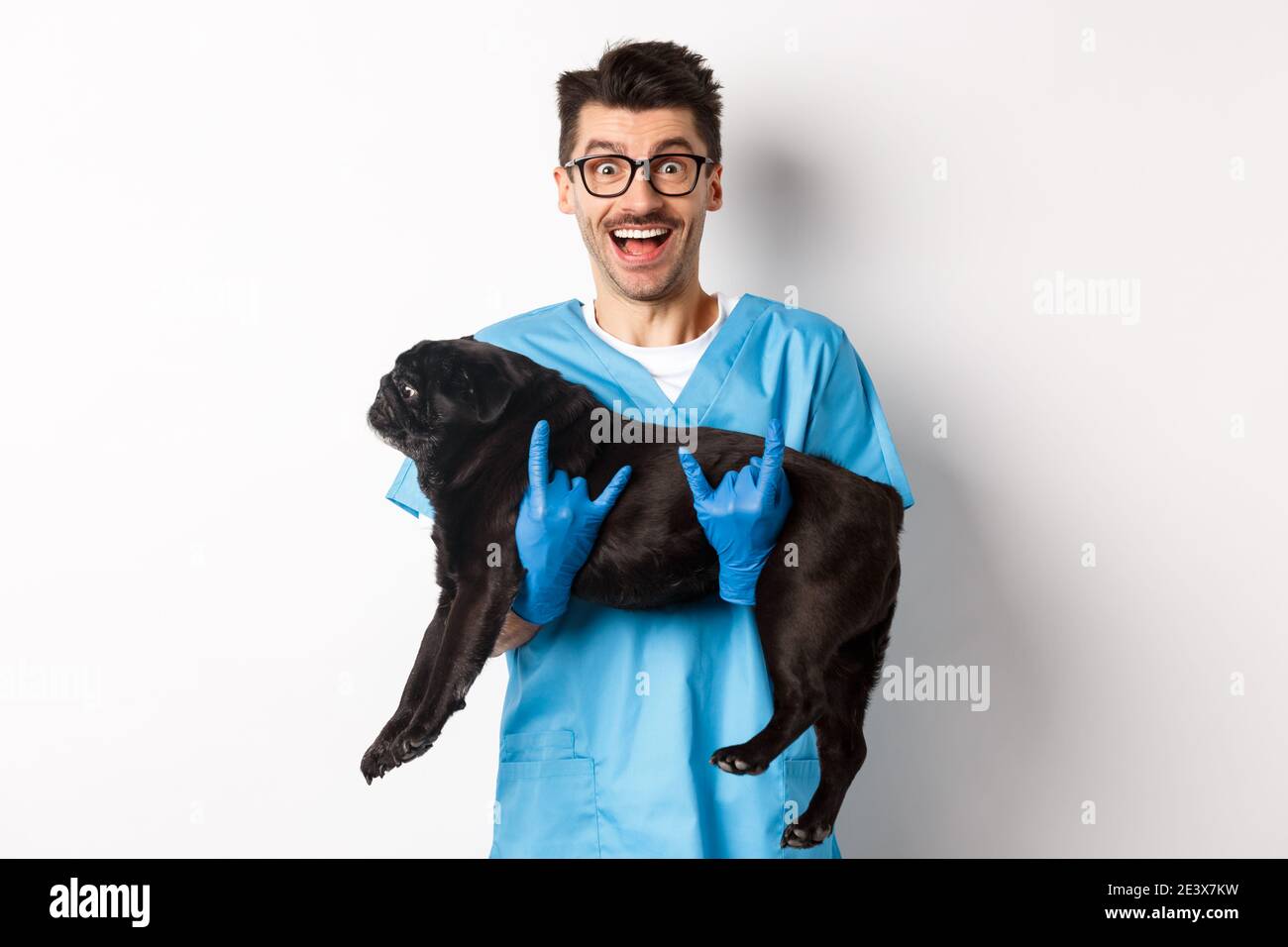Vet clinic concept. Happy male doctor veterinarian holding cute black ...