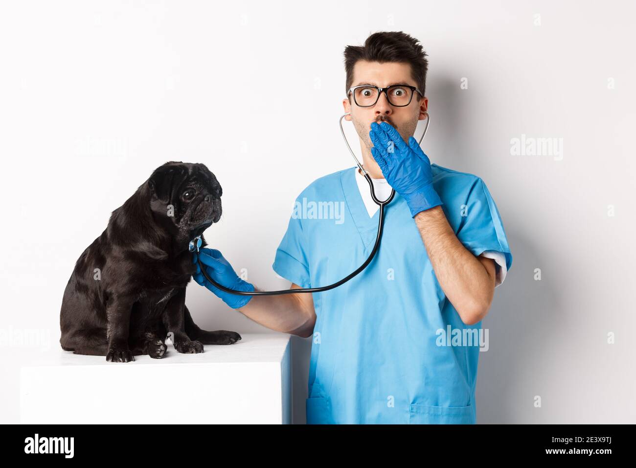 Shocked doctor in vet clinic examining dog with stethoscope, gasping ...