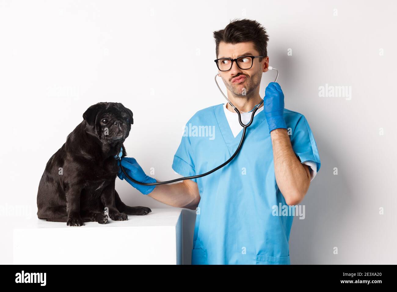 Confused male doctor veterinarian checking dog with stethoscope ...
