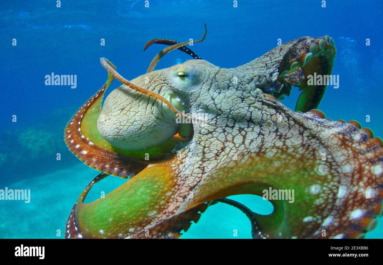 Z X C V B N High Resolution Stock Photography and Images - Alamy