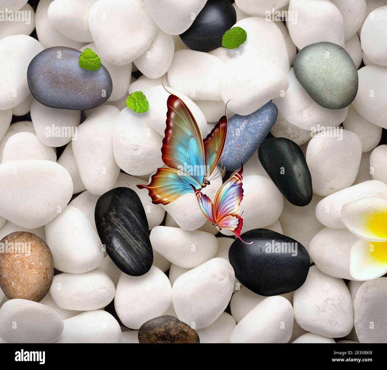 Butterfly Coloring High Resolution Stock Photography and Images - Alamy