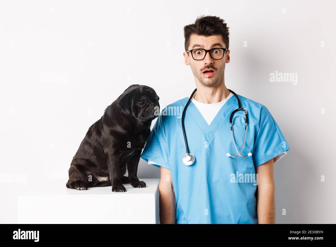 Handsome doctor veterinarian staring at camera surprised, small black ...