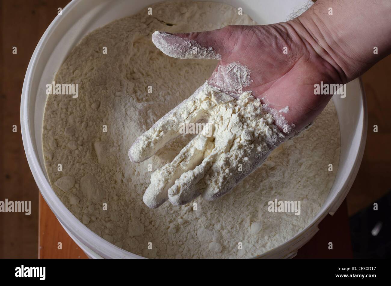 Man dips his hand into large plastic bucket of wheat flour. Hand dipped ...