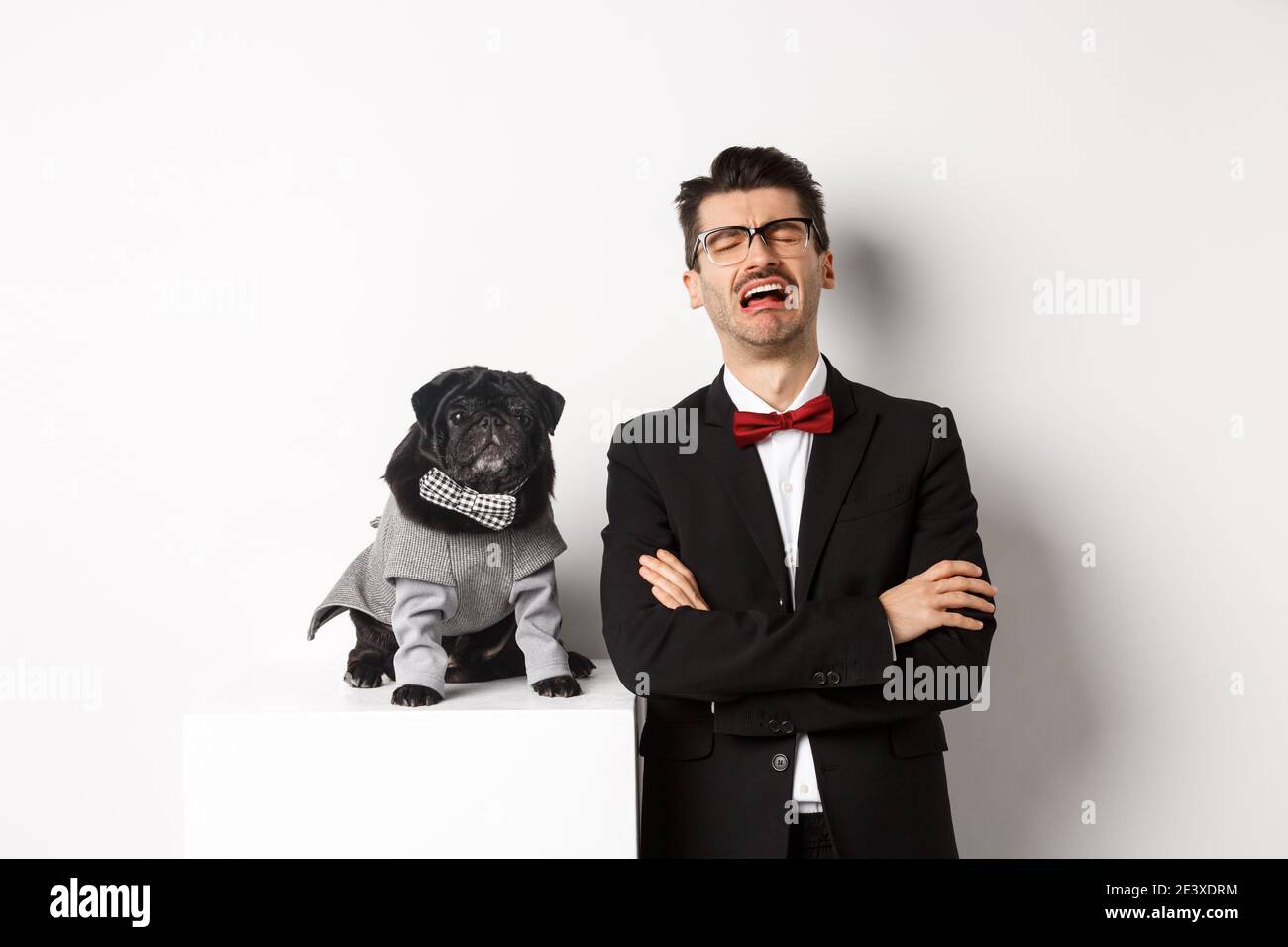 Animals, party and celebration concept. Sad dog owner crying, wearing ...